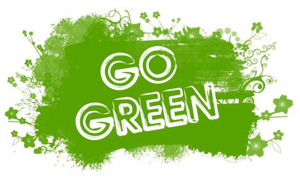 How To Go Green In College | The Odyssey Online