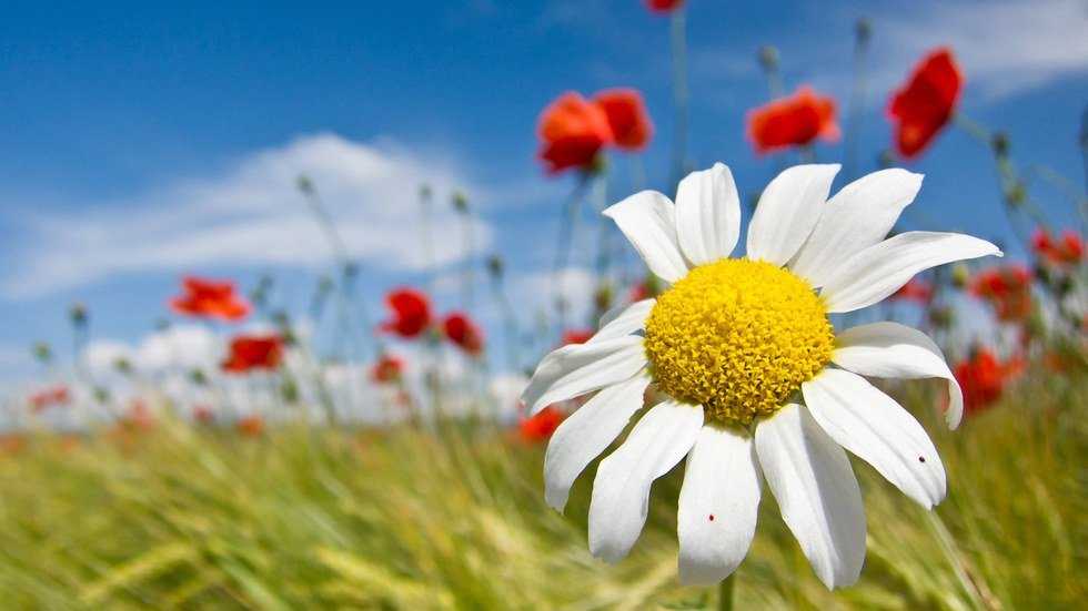30 Things To Do Now That Spring Is Here | The Odyssey Online