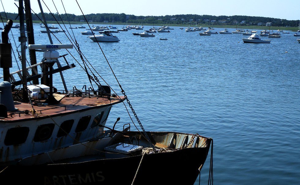 Cape Cod Bucket List | The Odyssey Online