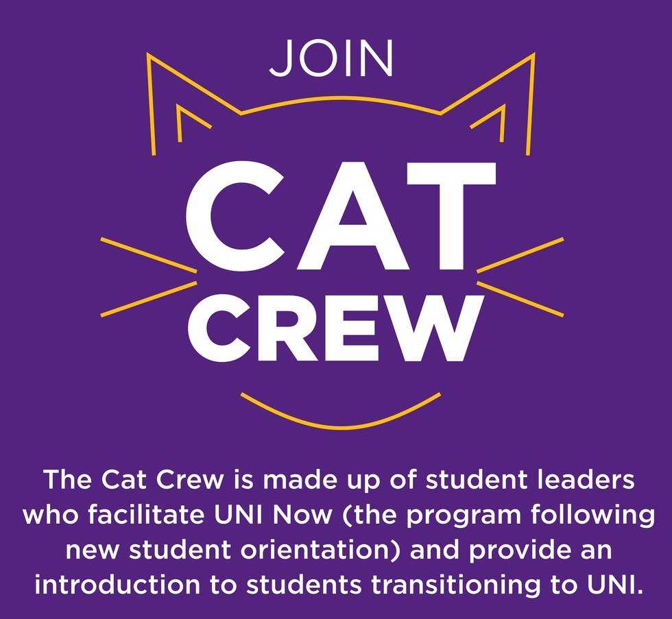 5 Reasons Why You Should Join Cat Crew | The Odyssey Online