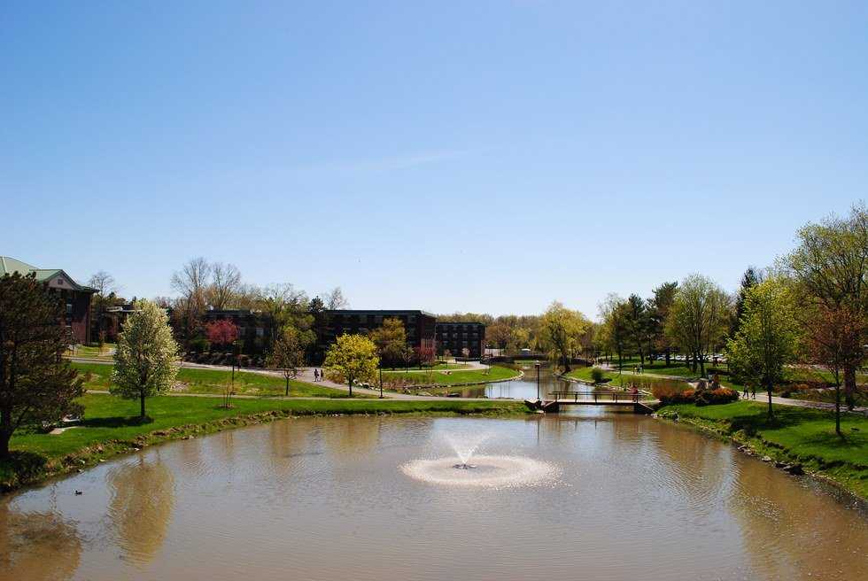 Filthy, Winged Creatures Invade The Waters Of SUNY New Paltz | The ...