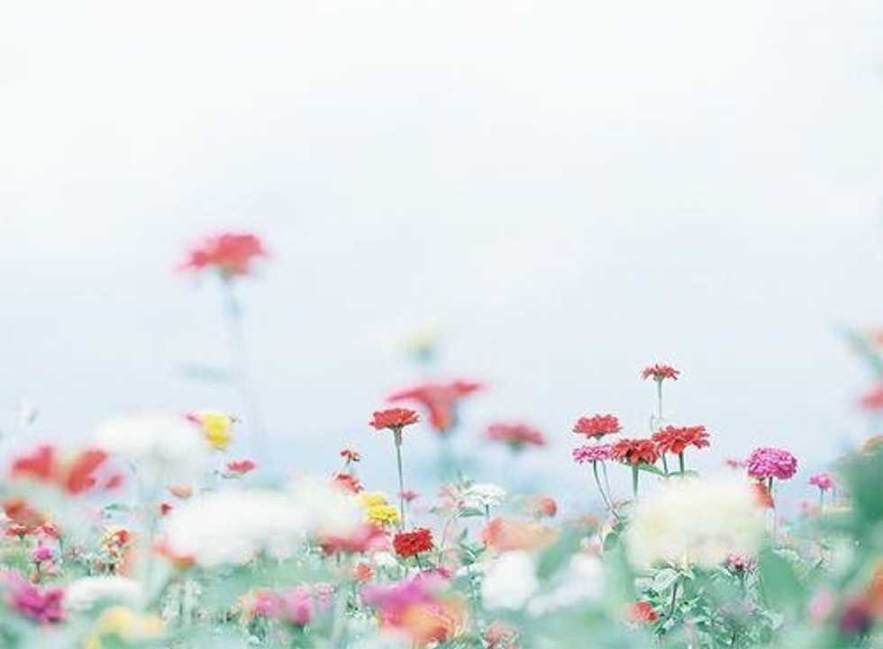 Why This Spring Is The Perfect Time For A Fresh Start | The Odyssey Online