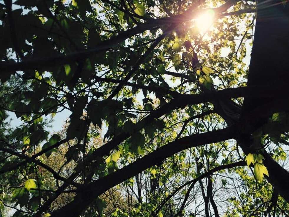 Why Do We Love Spring? | The Odyssey Online