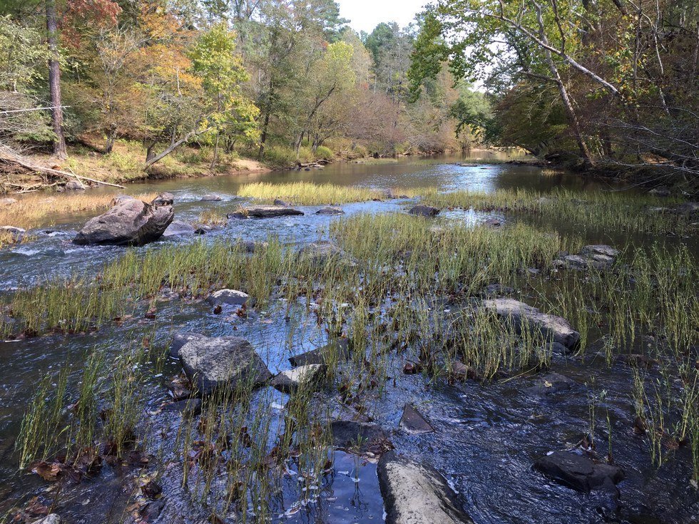 6 Reasons Why You Should Go Outside Instead Of Going Out | The Odyssey ...