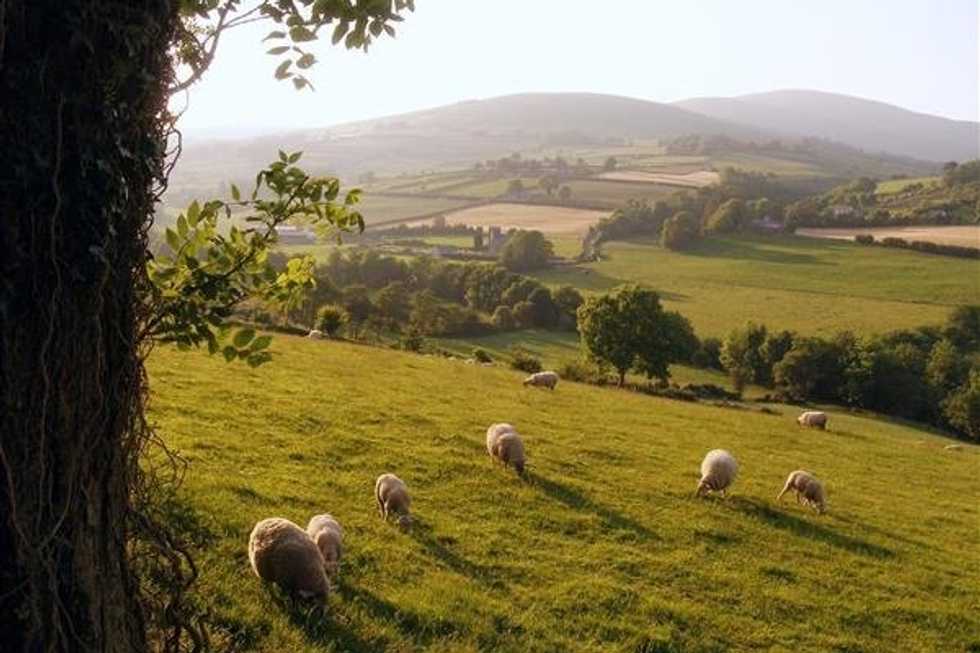 Travel Journal | The Odyssey Online