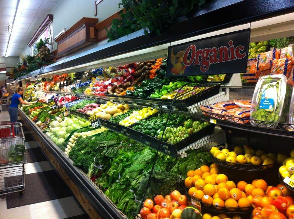 Waste Not, Want Not | The Odyssey Online