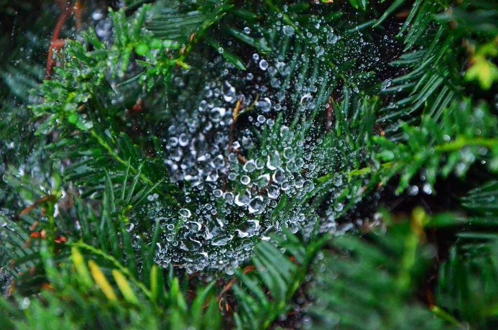 Why I Bring My Camera Everywhere | The Odyssey Online