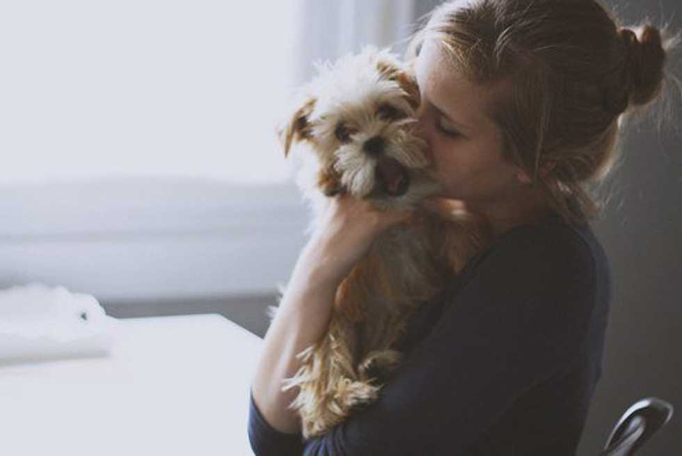 5 Reasons Seeing Your Dog Is The Best Thing About Winter Break | The ...
