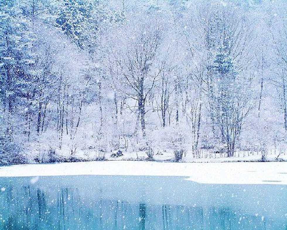 Winter Break Check-in: Things To Bring Back To Campus! | The Odyssey Online