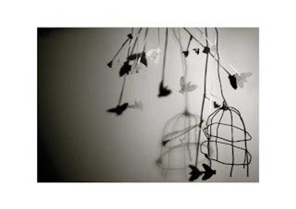 Panic Bird, Please Fly Away | The Odyssey Online