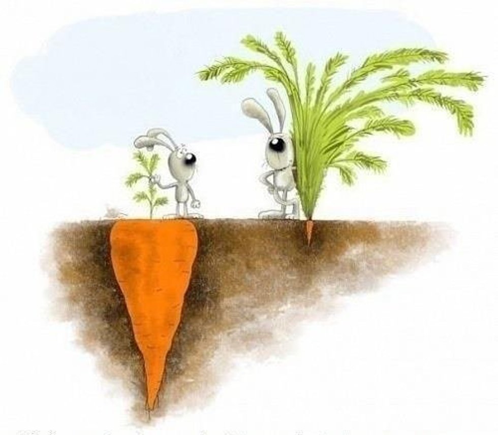 Don't Judge A Book By Its Cover | The Odyssey Online