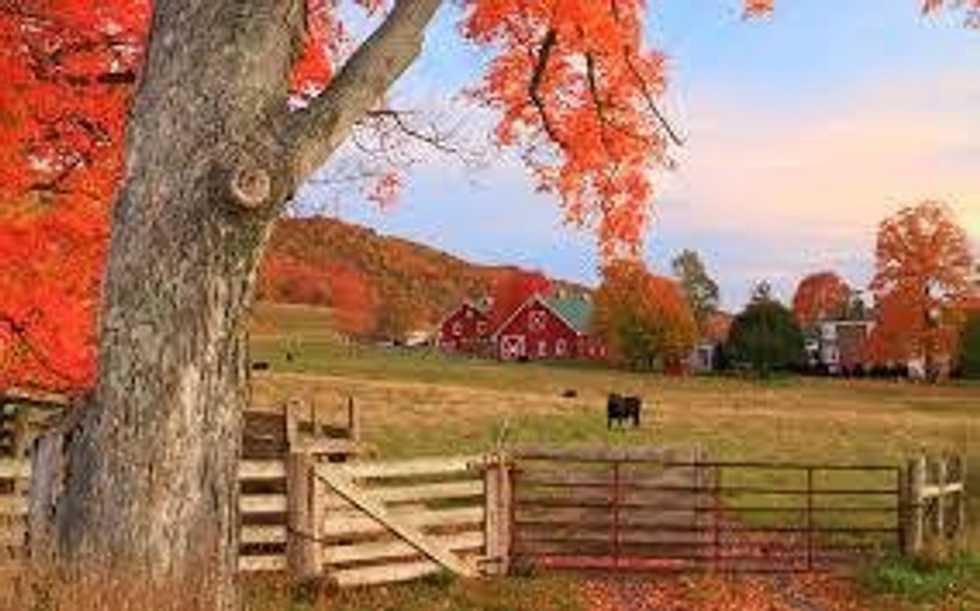 The 11 Best Things About Growing Up In A Small “Country” Town | The ...