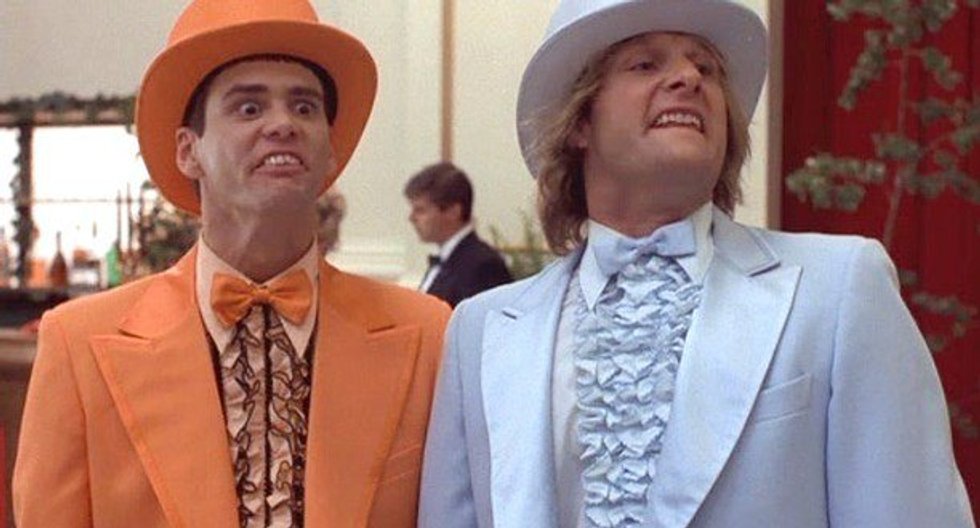 Who Is Dumb And Who Is Dumber? | The Odyssey Online