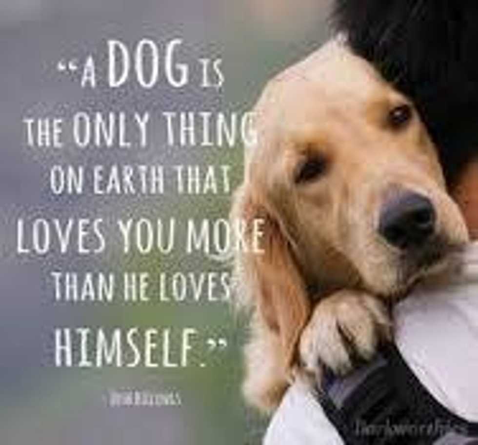 18 Reasons A Man's Best Friend Is The Best Kind Of Friend | The Odyssey ...