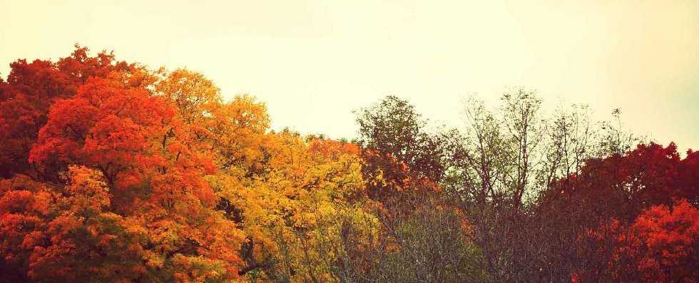 13 Reasons Why Fall Is The Best Season | The Odyssey Online