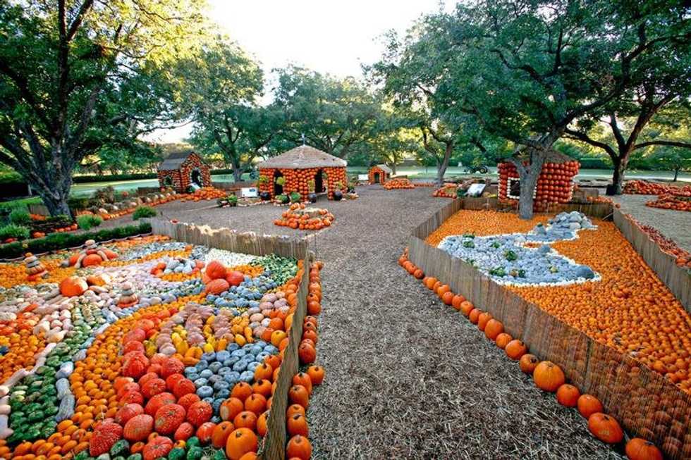 Reasons Fall Is The Best Season | The Odyssey Online