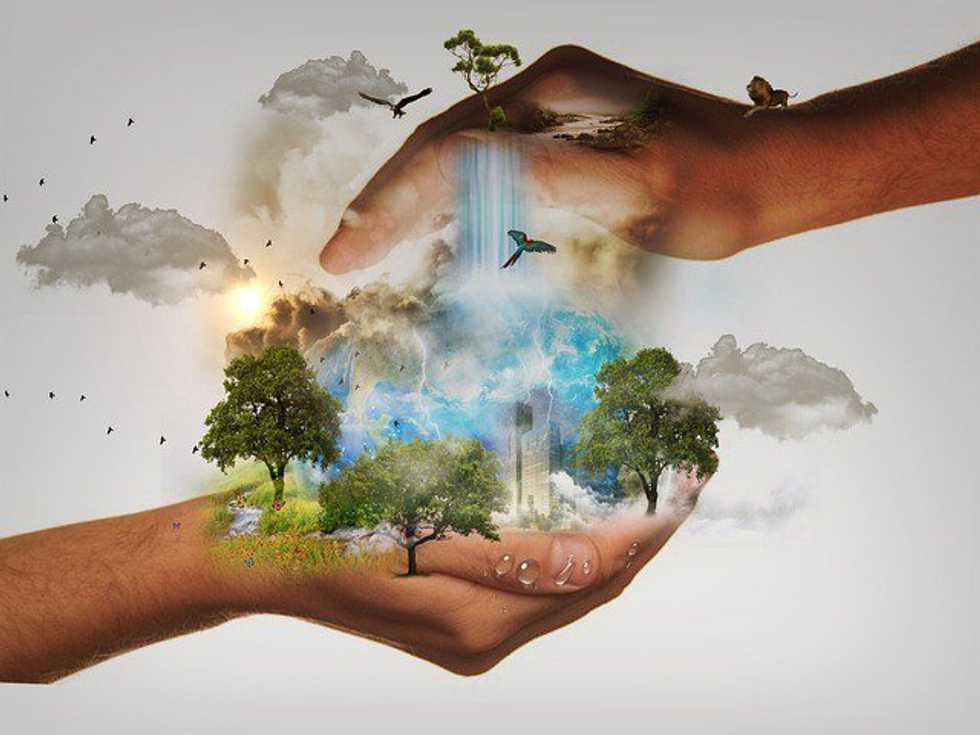 A Christian Understanding Of Conservation | The Odyssey Online