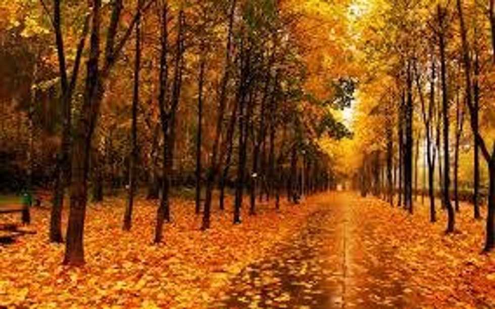 The 6 Best Things About Fall | The Odyssey Online