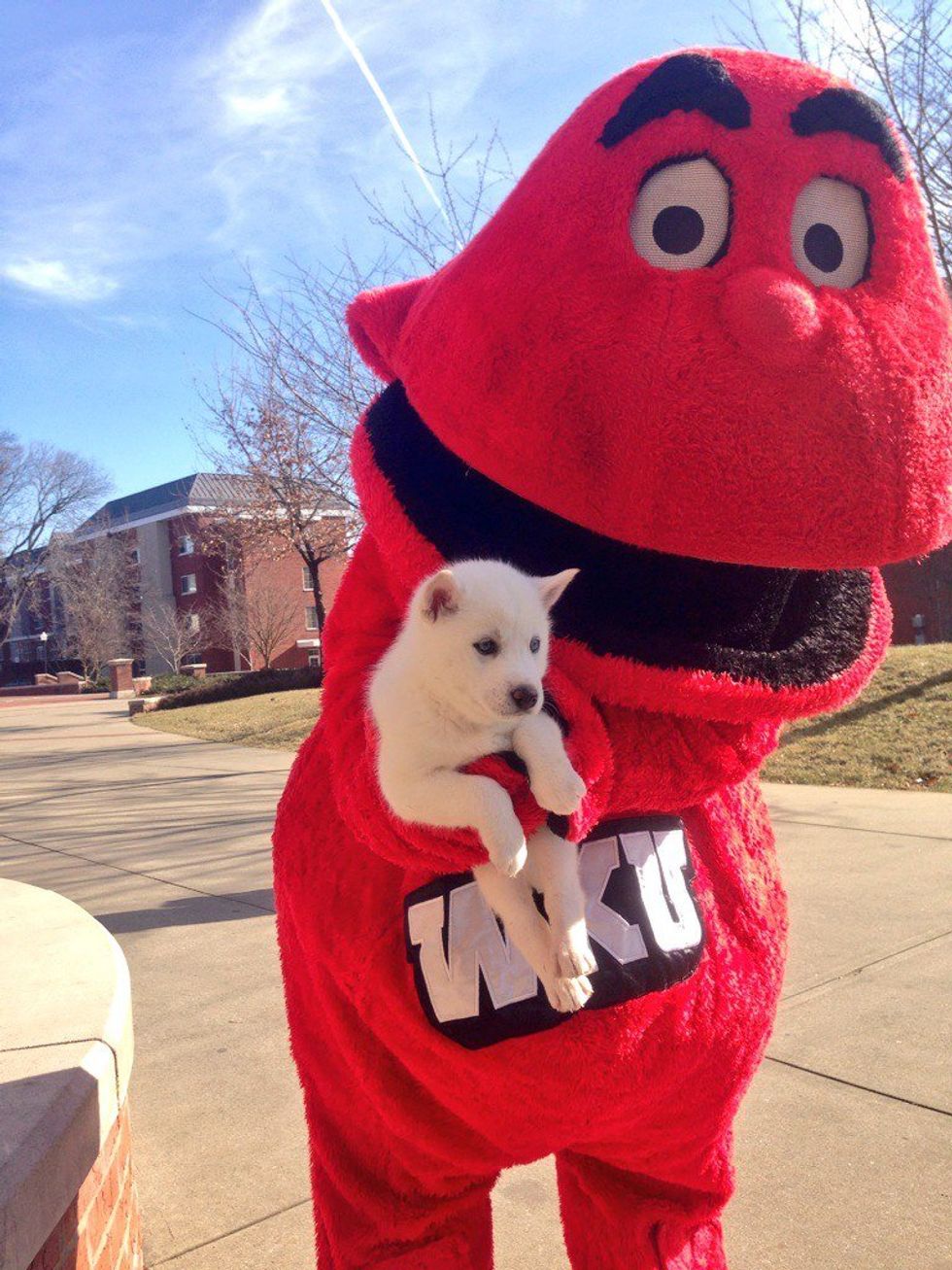 What Is Big Red? | The Odyssey Online