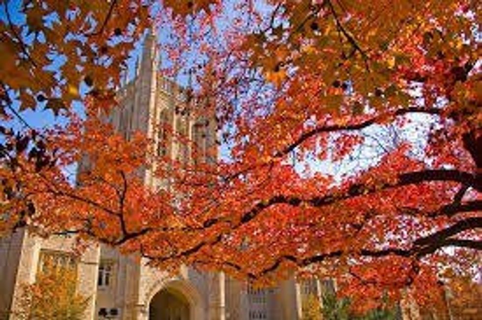 10 Activities That Should Be On Your Mizzou Fall Bucket List | The ...