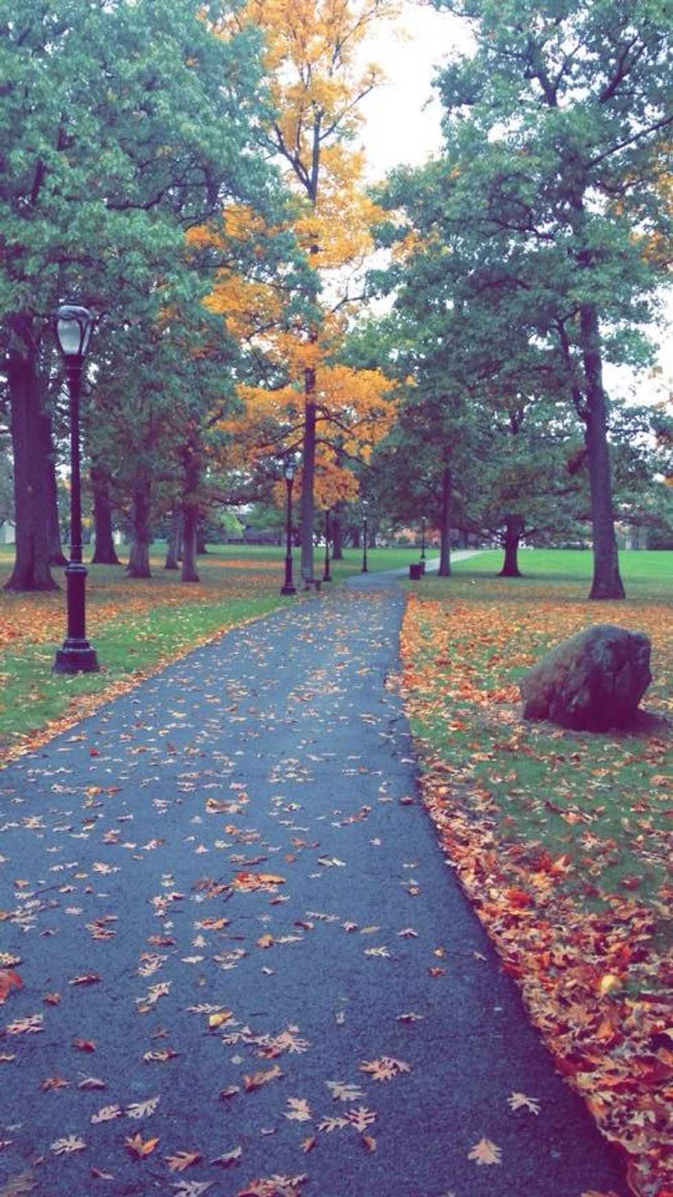 16 Reasons To Be Excited For Fall | The Odyssey Online