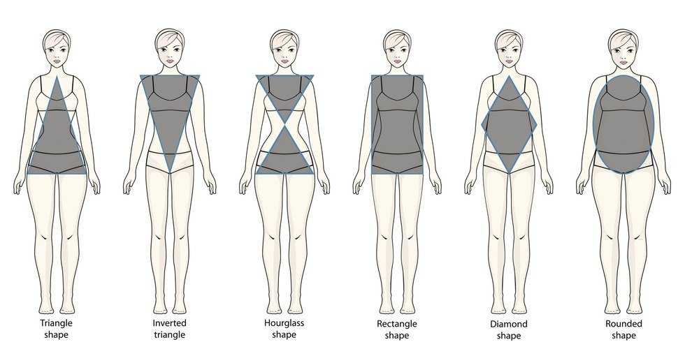 Choose Your Own Body Type | The Odyssey Online