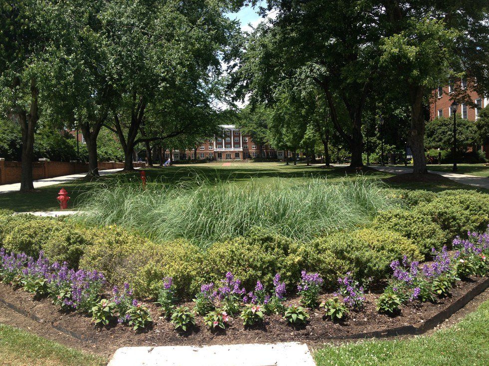 7 Reasons To Be Thankful in College | The Odyssey Online