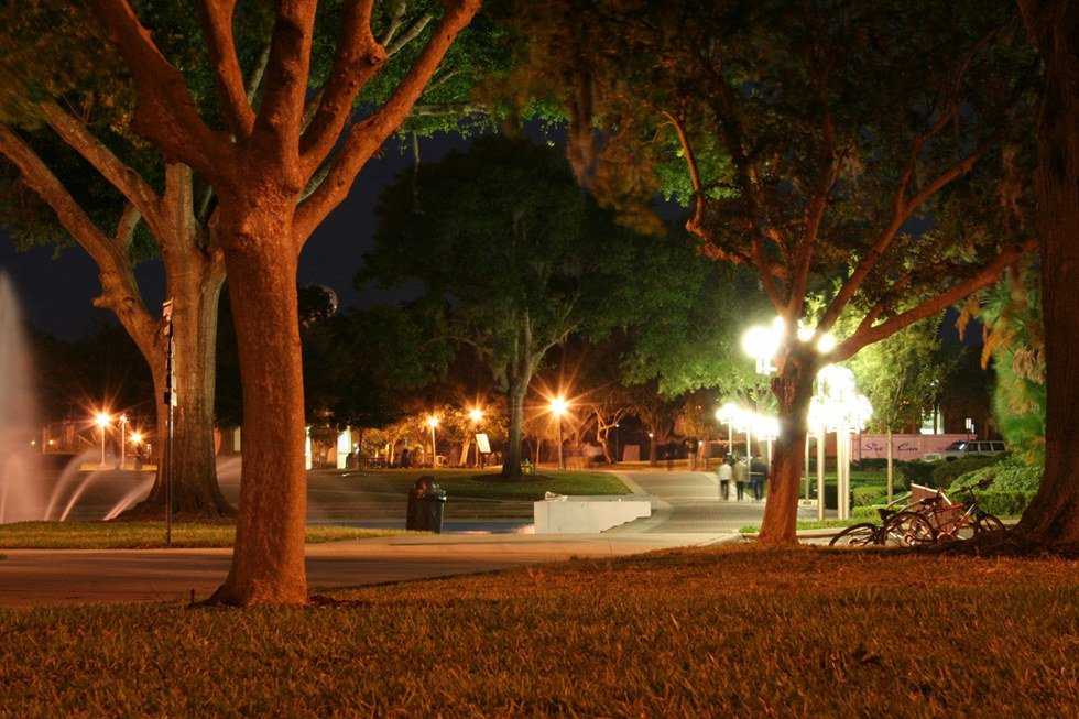 Summer at UCF | The Odyssey Online