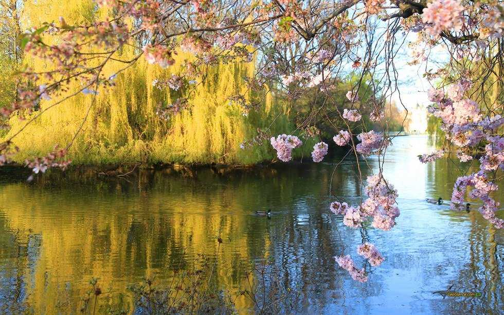 Welcome Back, Spring | The Odyssey Online