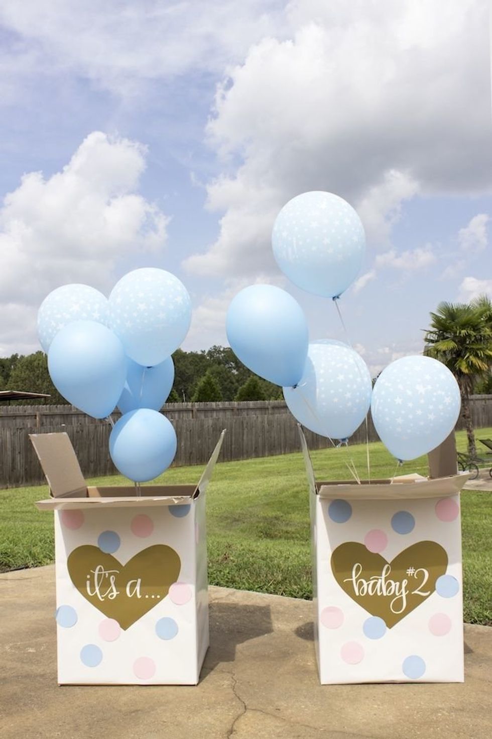 15 Adorable Gender Reveals That Will Trigger Your Baby Fever | The ...