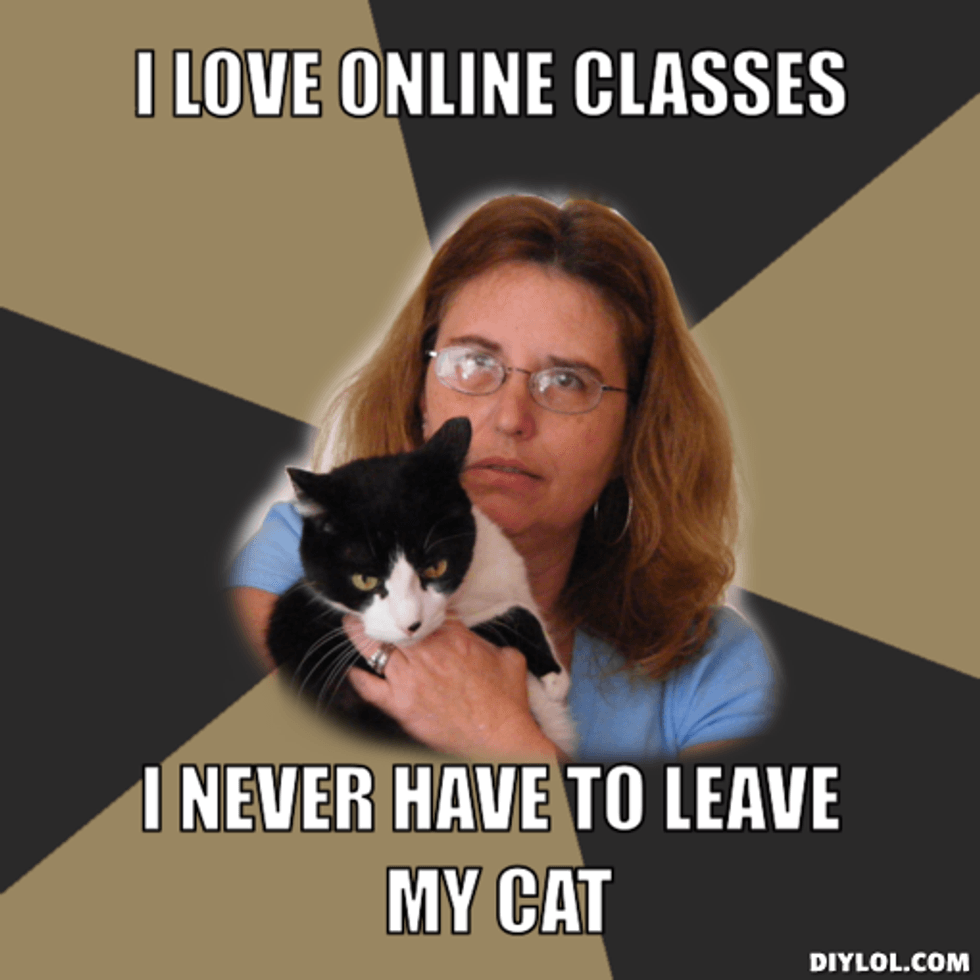 Pros and Cons of Online Classes | The Odyssey Online