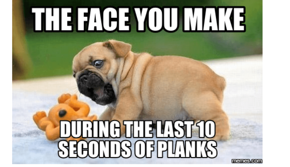 Motivational Fitness Memes To Inspire You To Work Out | The Odyssey Online