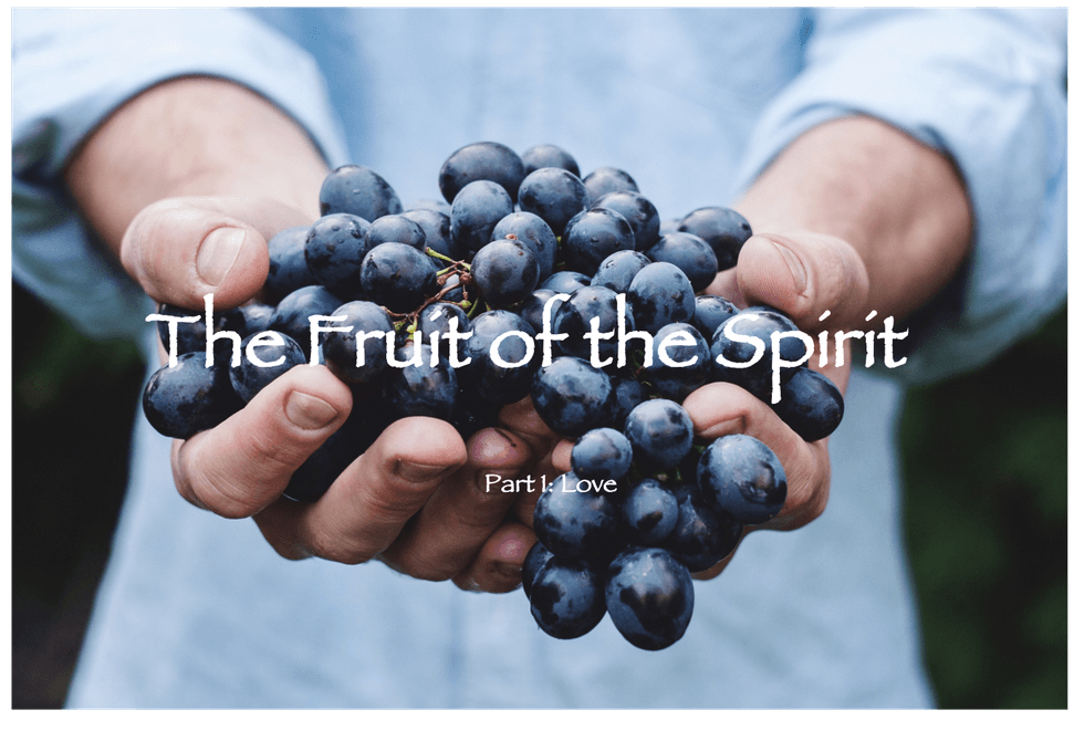 The Fruit of the Spirit: Love | The Odyssey Online