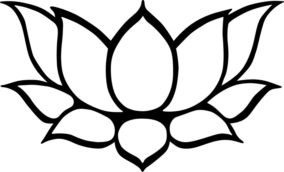 The Lotus Flower Project | The Odyssey Online