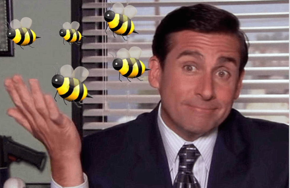 Bee Facts Puncutated With Gifs From The Office | The Odyssey Online