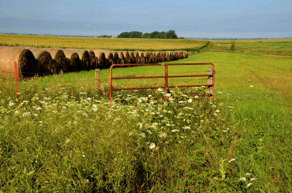 The Great 'Fly Over' State Debate | The Odyssey Online