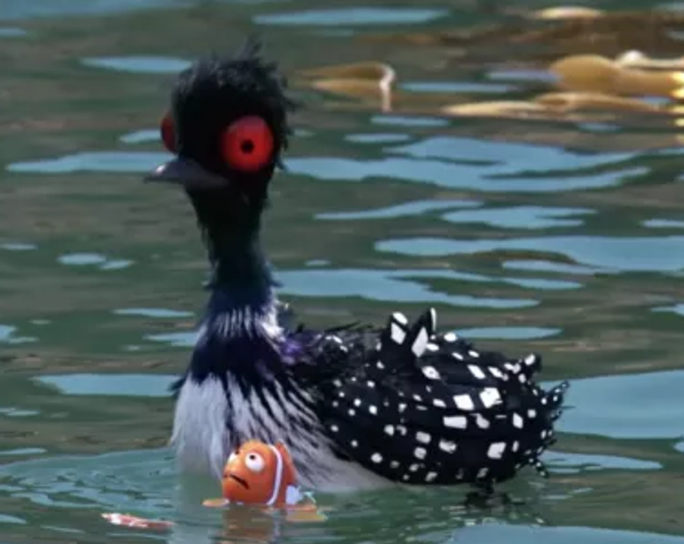 Pixar's Finding Dory Review | The Odyssey Online