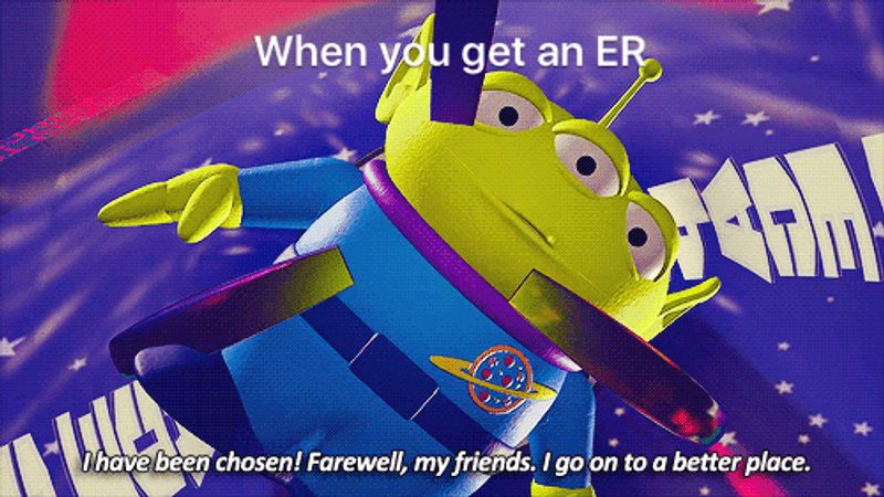 Disney College Program Memes
