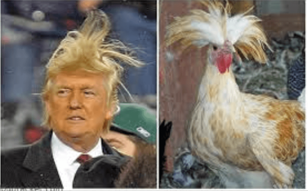 20 Trump Look-Alikes To Get You Through The Day | The Odyssey Online