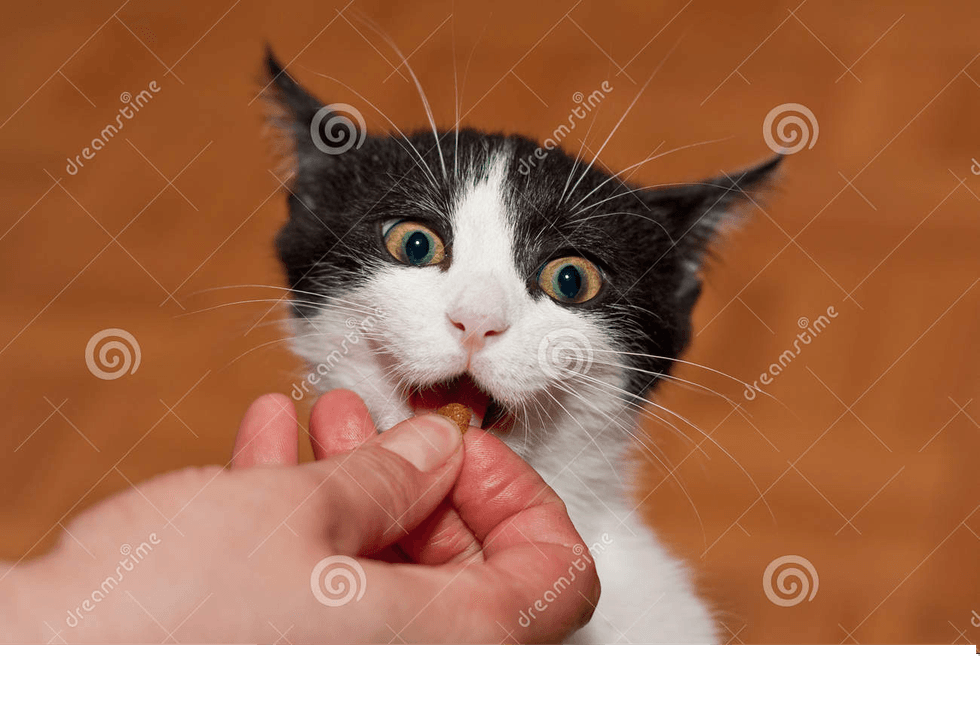 How To Find Your Path After Graduation | The Odyssey Online