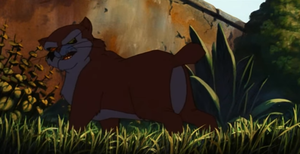 Weird Movies You've Never Heard Of: 'Felidae' | The Odyssey Online