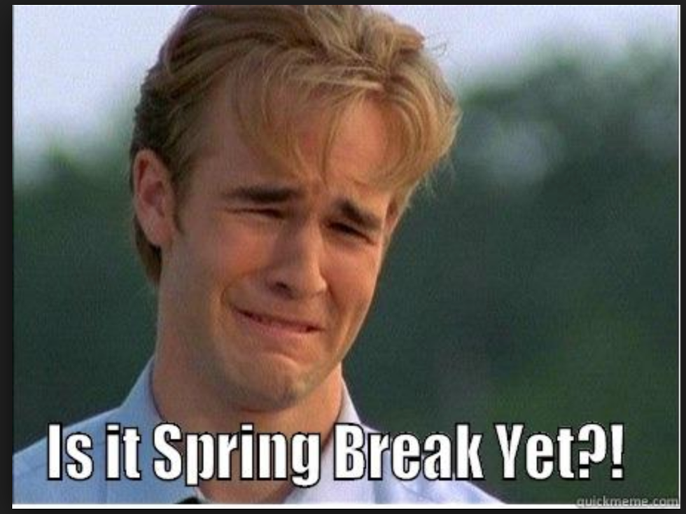 Spring Break Memes | The Odyssey Online