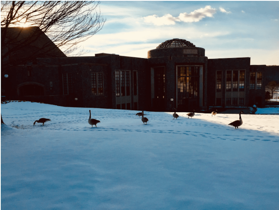 10 Classic Sightings You’ll Only Catch At Marist College During Spring ...