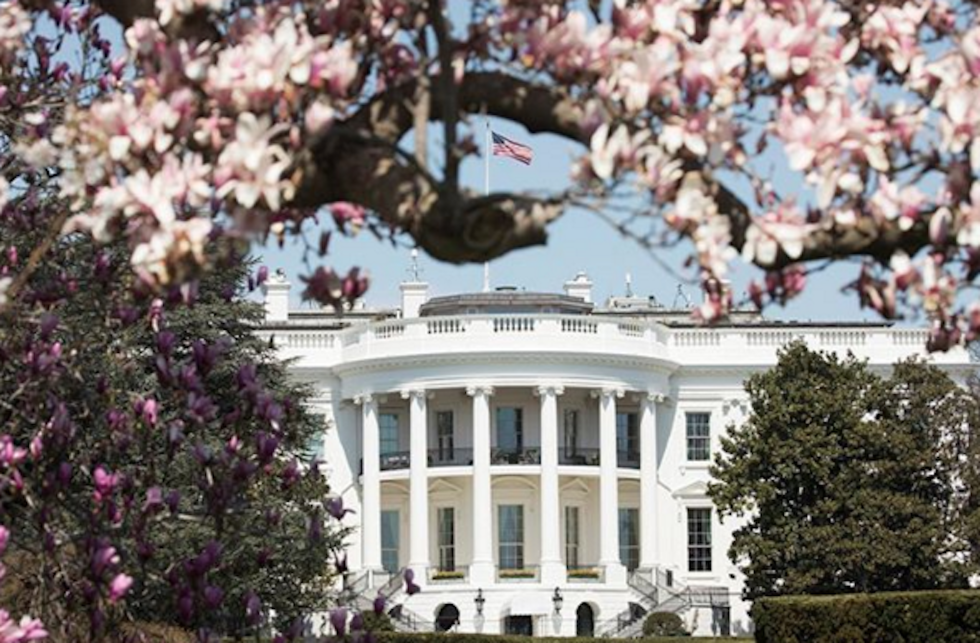 how to get politically informed | The Odyssey Online