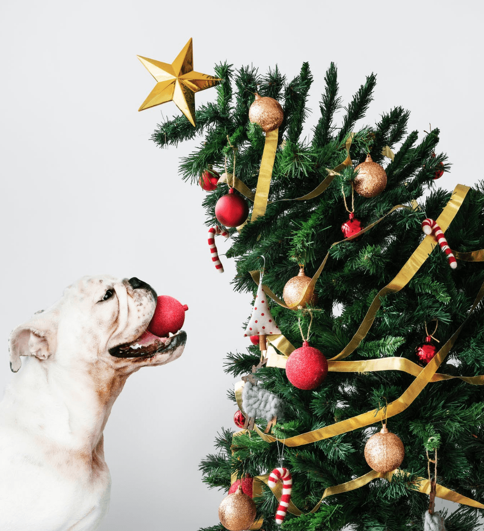 9 Awesome Techy Christmas Gifts To Get Your Friends and Family This ...