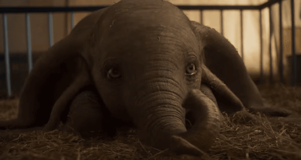 "Dumbo" | The Odyssey Online