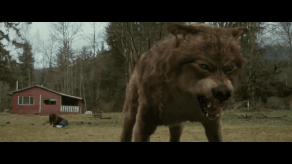 Werewolves Are Real, Don't Try To Change My Mind On This | The Odyssey ...