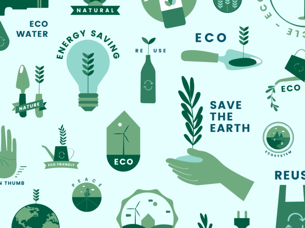 14 Ways to Be an Eco-Friendly Human This Year | The Odyssey Online