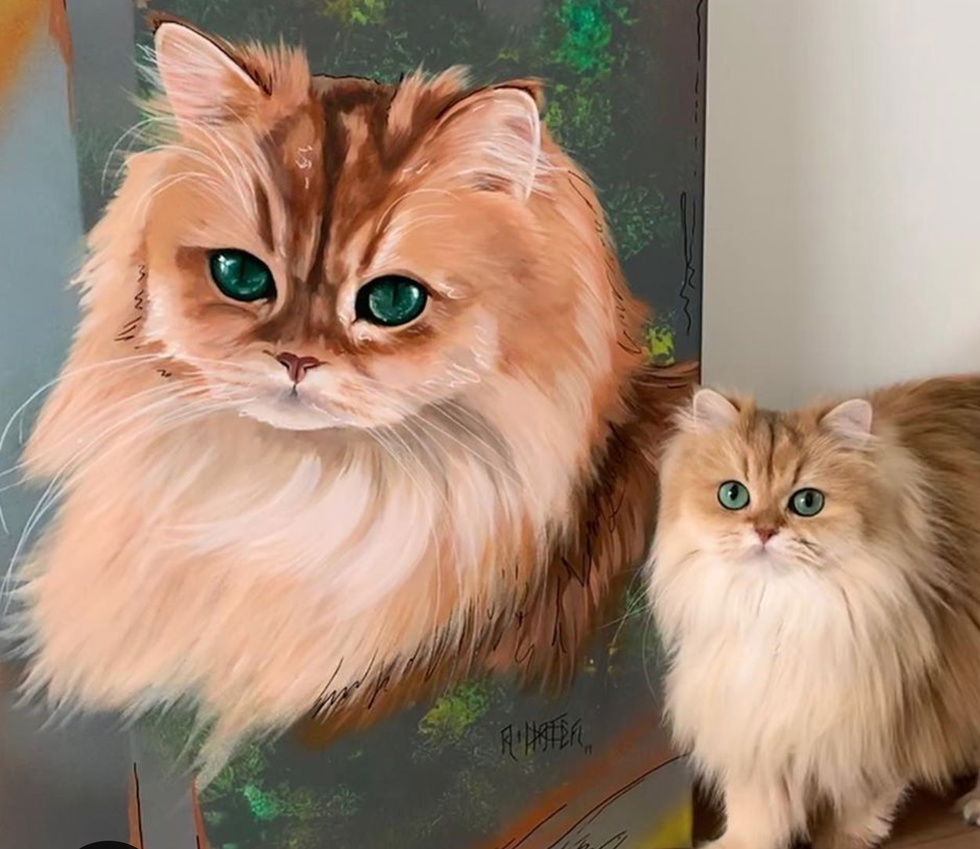 14 Signs You're A Crazy Cat Lady | The Odyssey Online