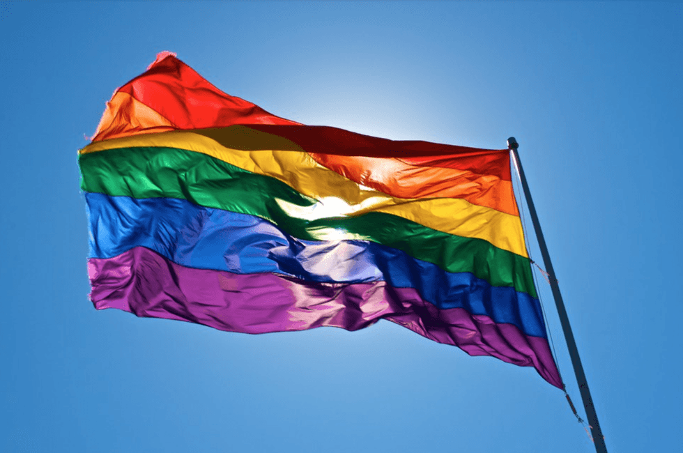 9 Queer Pride Flags That You Probably Didn't Know About | The Odyssey ...